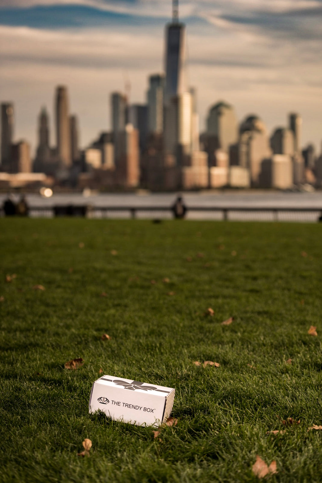 The Trendy Box